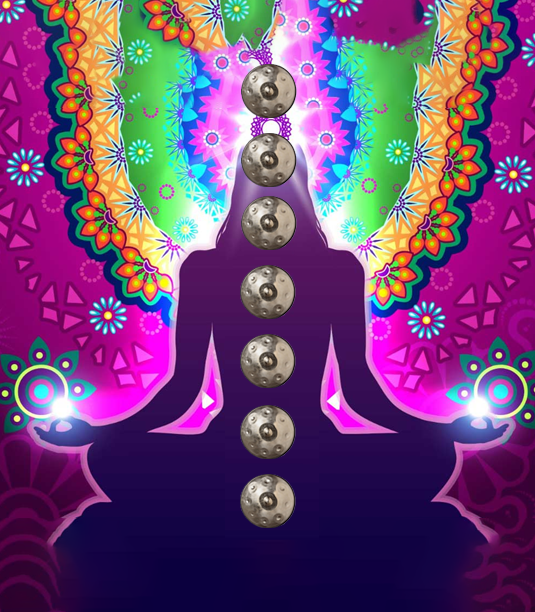 Sessioni | VibraSonic - Veneto